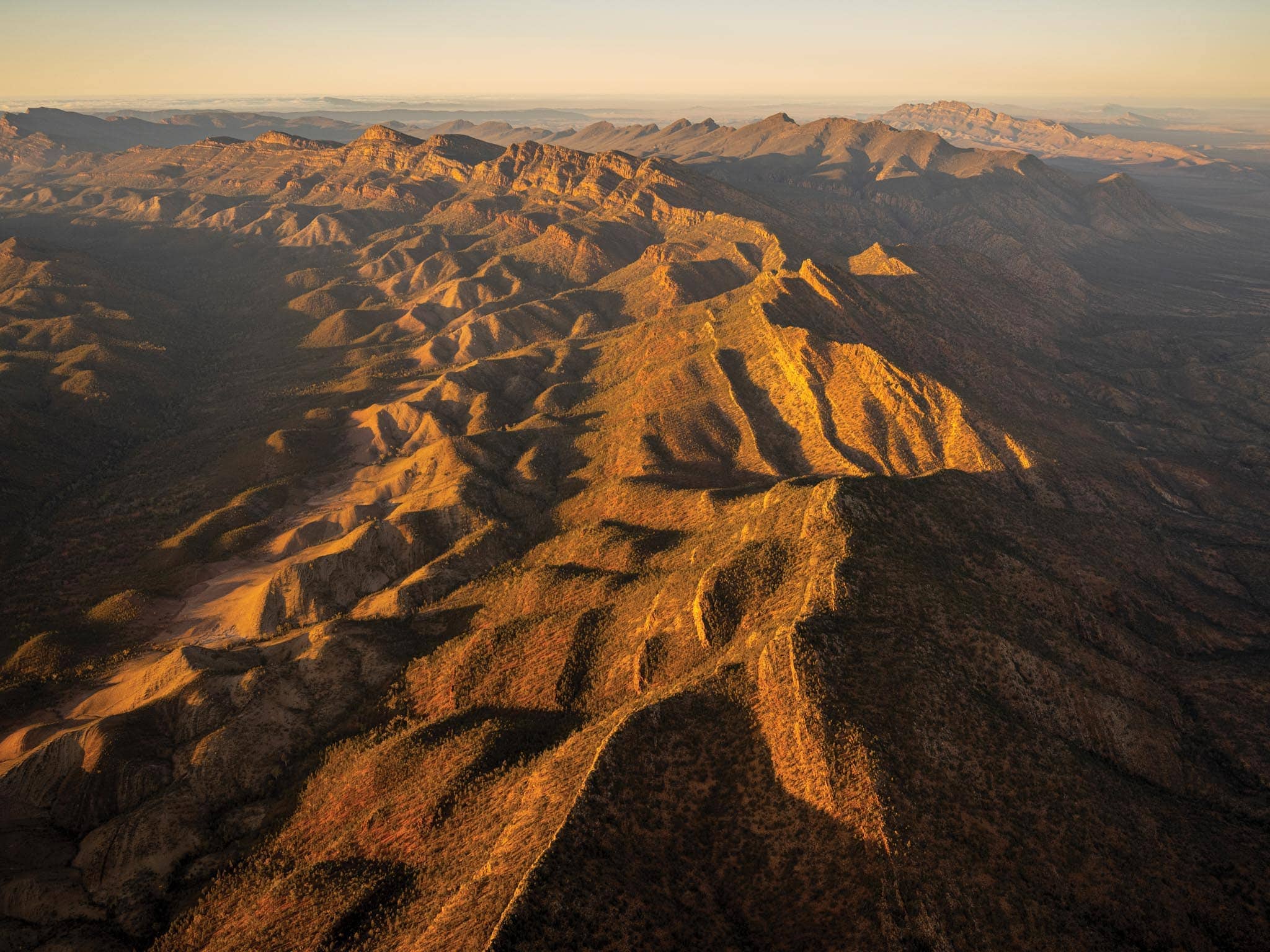 Ikara-Flinders Ranges National Park January Update 2022 | Flinders and ... Ikara-Flinders Ranges National Park January Update 2022 | Flinders and ...